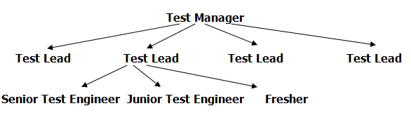 Test Plan: Roles and Responsibilities