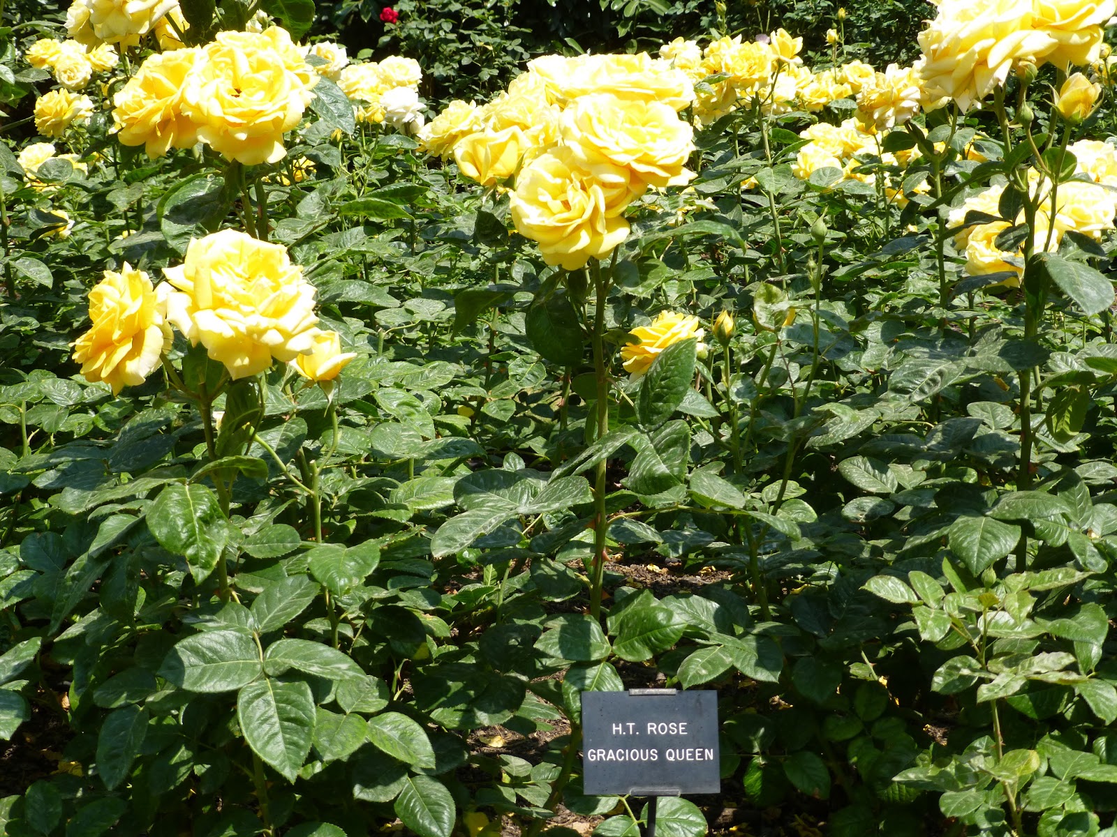 London Living @ It's Your London: July 2013