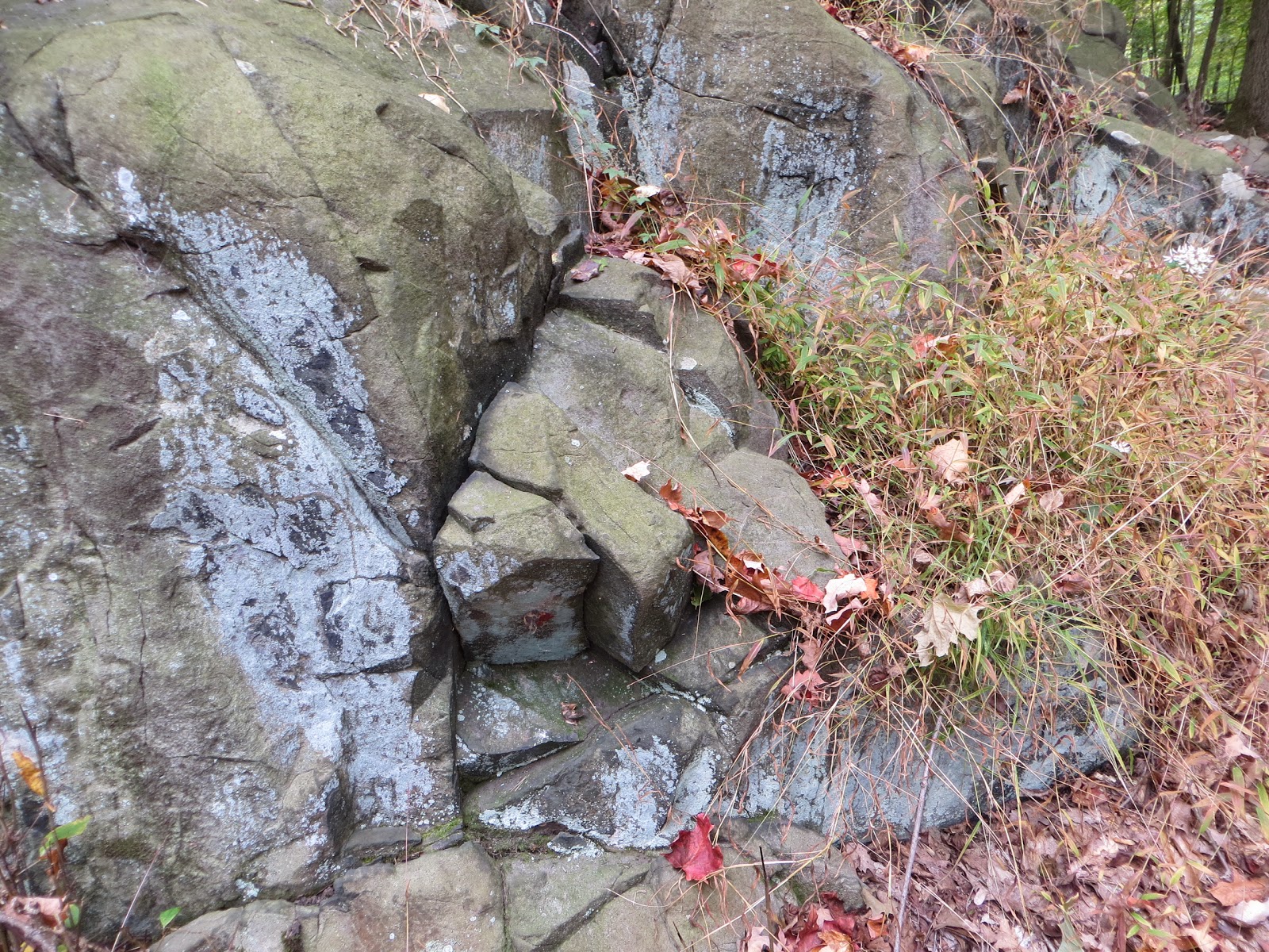 TM Gallery: alpine scout camp trail