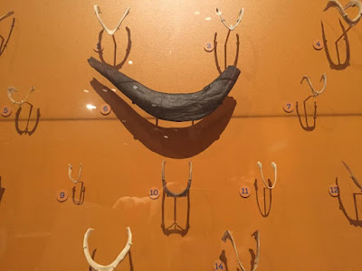 Prehistoric Beast of the Week: Dinosaurs Among Us at the American ...