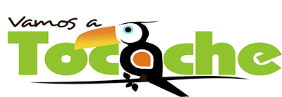 Tocache SAN MARTIN TURISMO 2016: TOCACHE PRODUCTOR DEL MEJOR CACAO