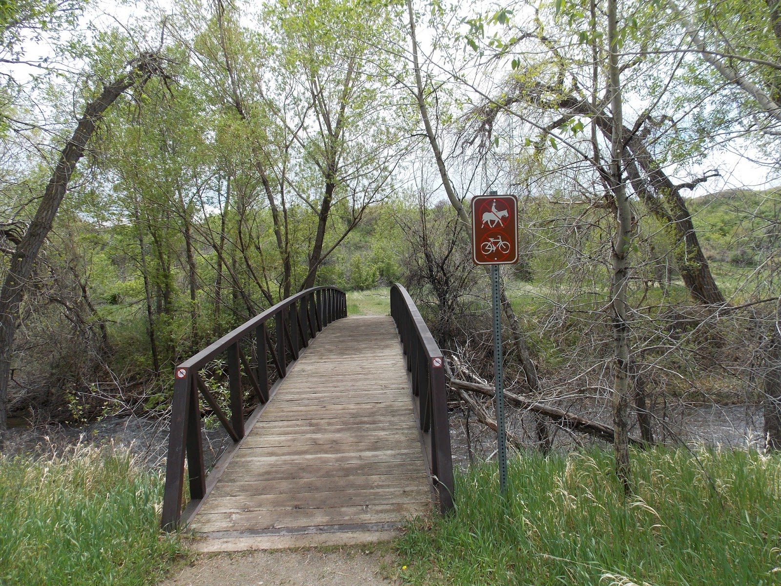 Denver's Bike Paths: EXPLORING BEAR CREEK TRAIL MAY 2013