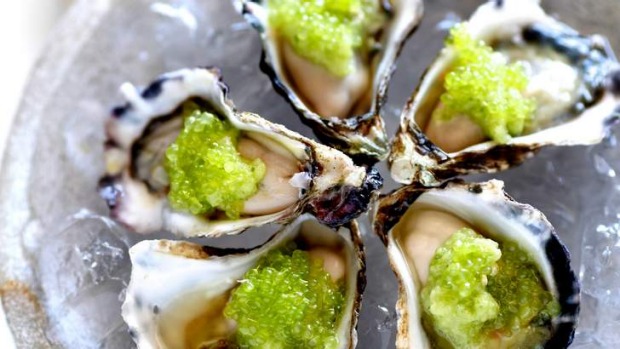 Fakta Menarik Dan Unik Mengenai Limau Jari Yang Ramai Orang Tidak Tahu