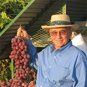 Bakersfield Observed: Patriarch of a prominent Delano table grape ...
