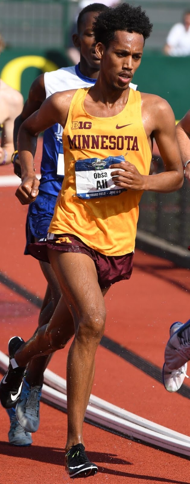 Down the Backstretch: June 2018