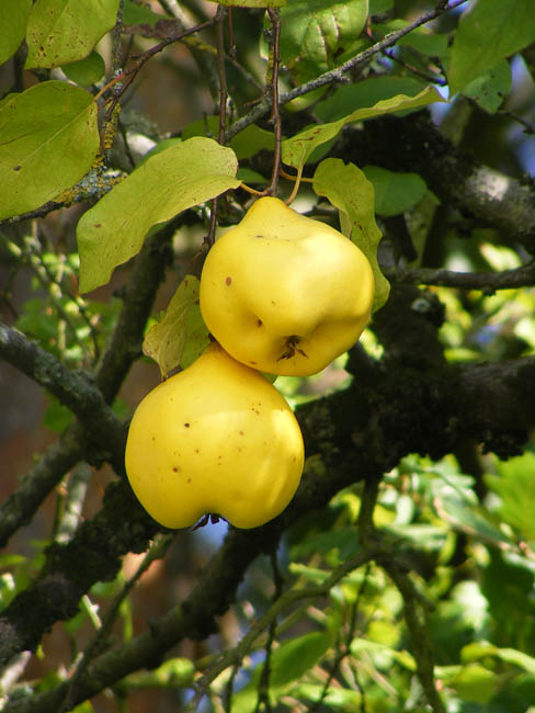 Days on the Claise: January 2012