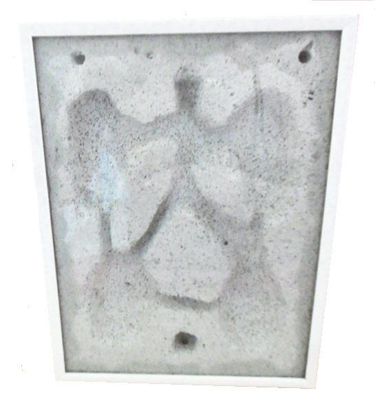 Disponibile in vendita Formicaio in Gasbeton ~ Il Mondo delle Formiche ...