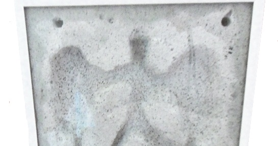 Disponibile in vendita Formicaio in Gasbeton ~ Il Mondo delle Formiche ...