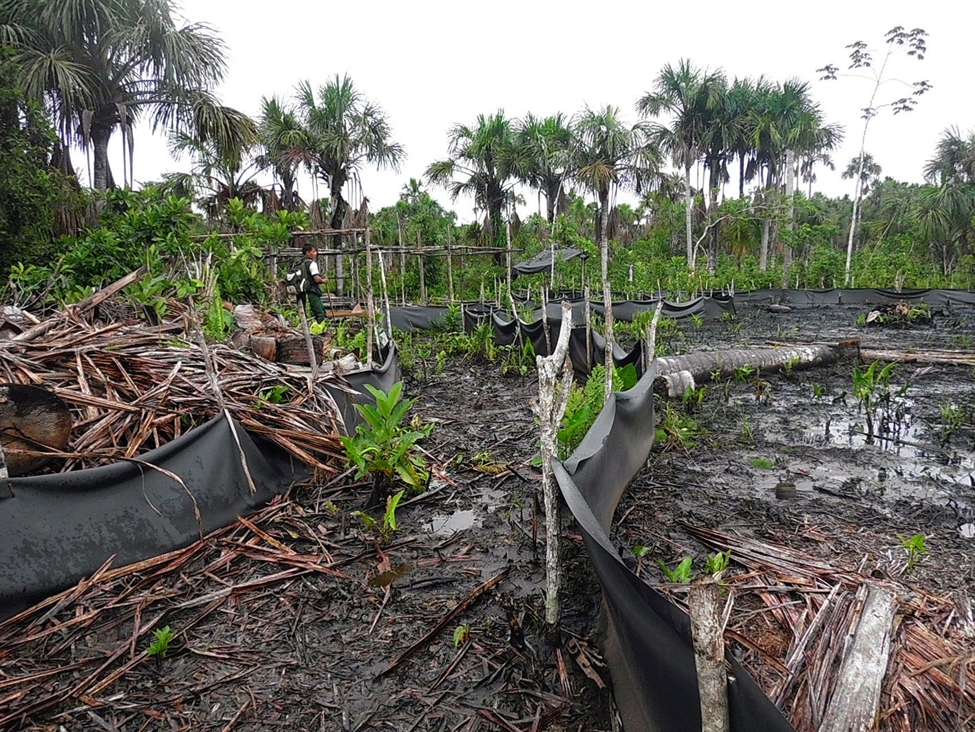 MI BOLIVIA AMADA: EXTRACTIVISMO Y CAMBIO CLIMÁTICO EN AMÉRICA LATINA ...