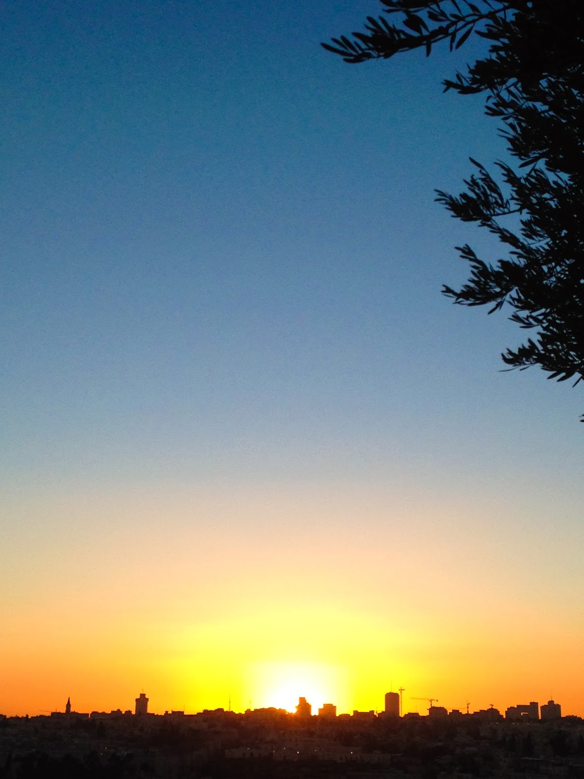 natalie ann: the shuk, synagogue, and love.