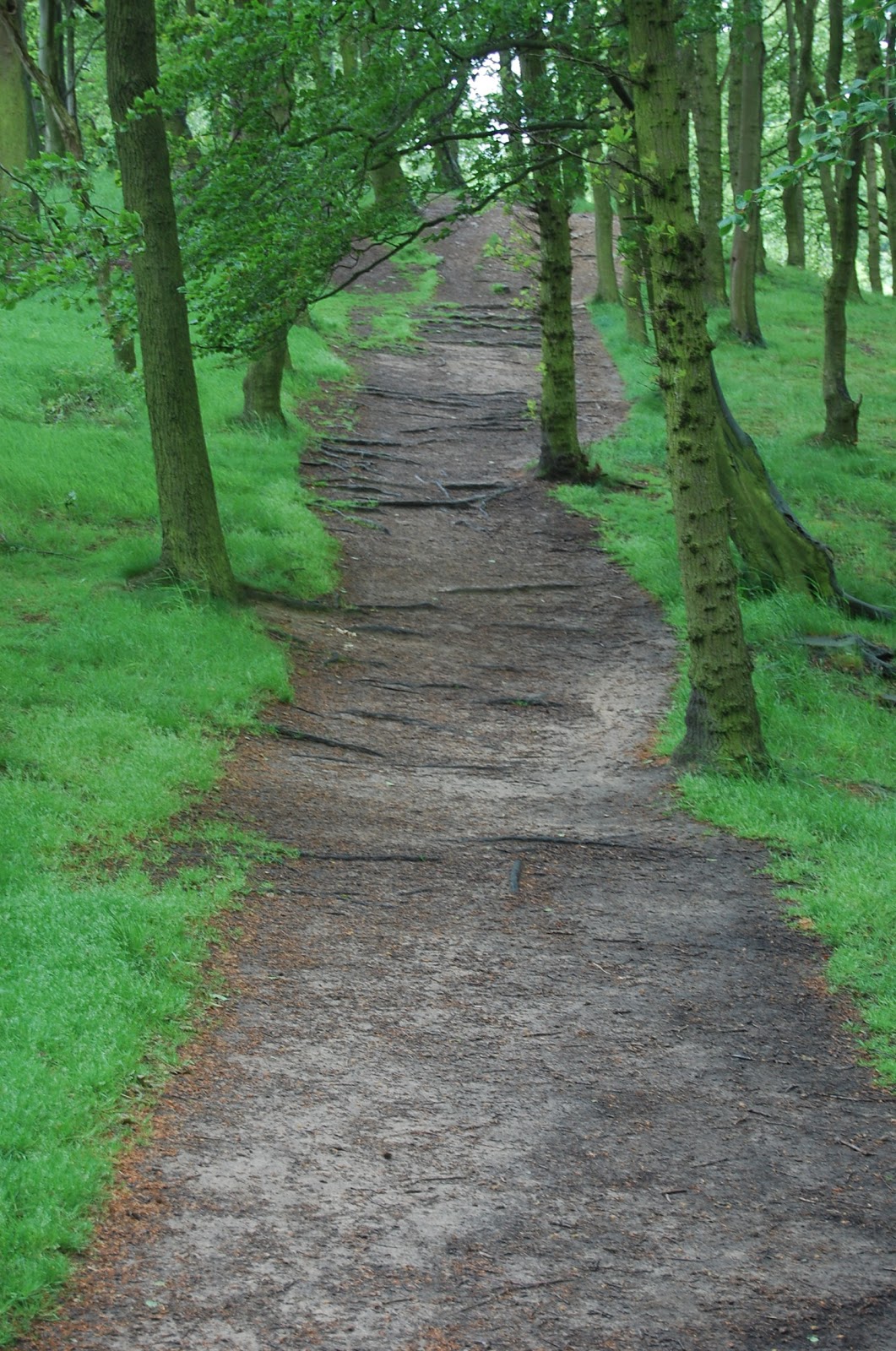 Photography by Blake White: Leading lines