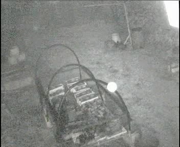 Show me your Orbs: Orb Photos and Videos