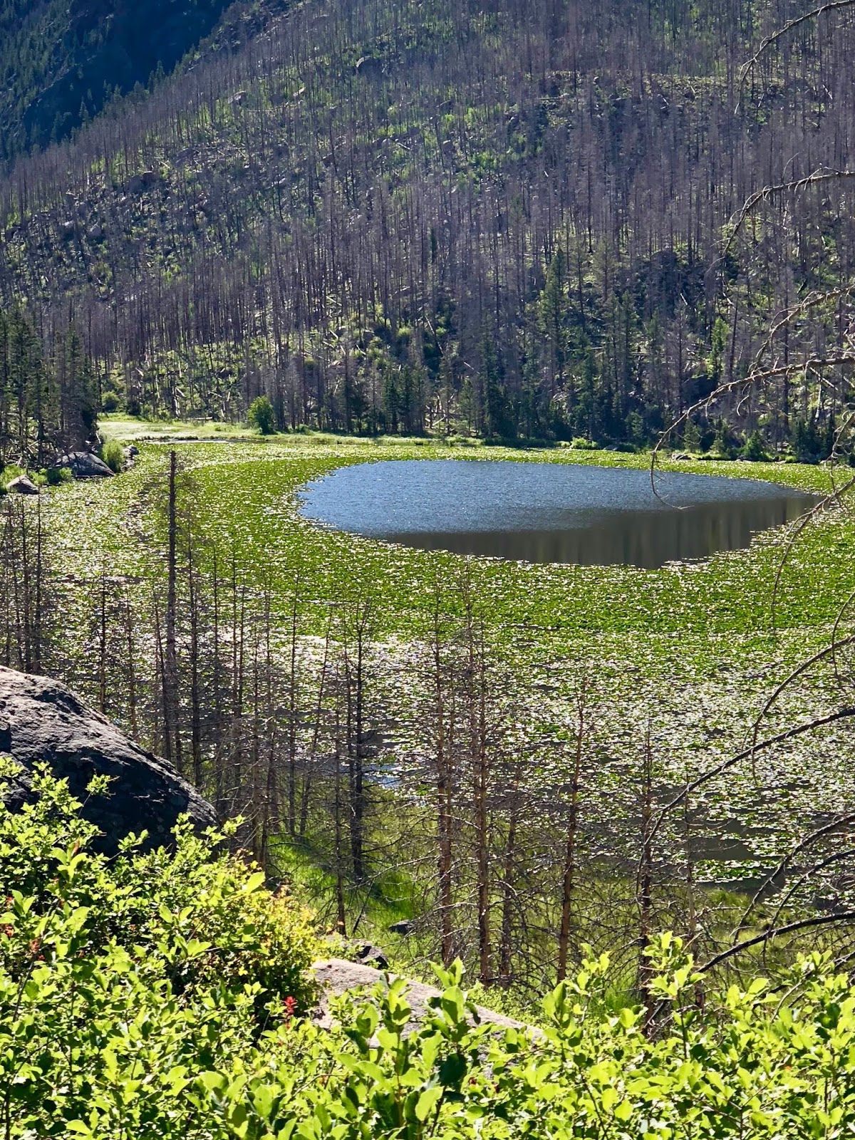 Adventures in Hiking (& other stuff): RMNP - Spruce Lake