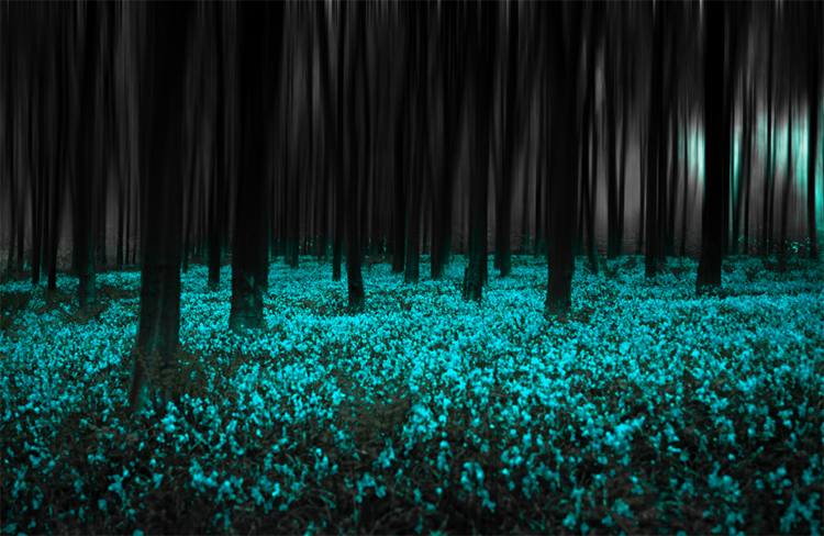 Elysian Thoughts: Shutter Speed/Abstract - Chris Friel