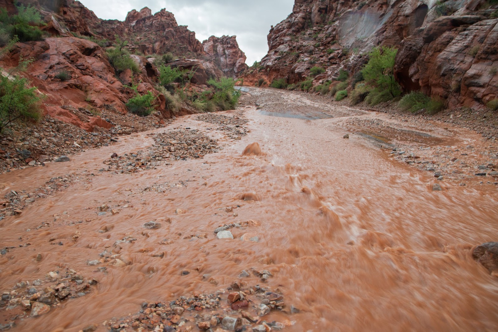 Valley of Fire - Flash Flood in the Desert - Explore the World with ...