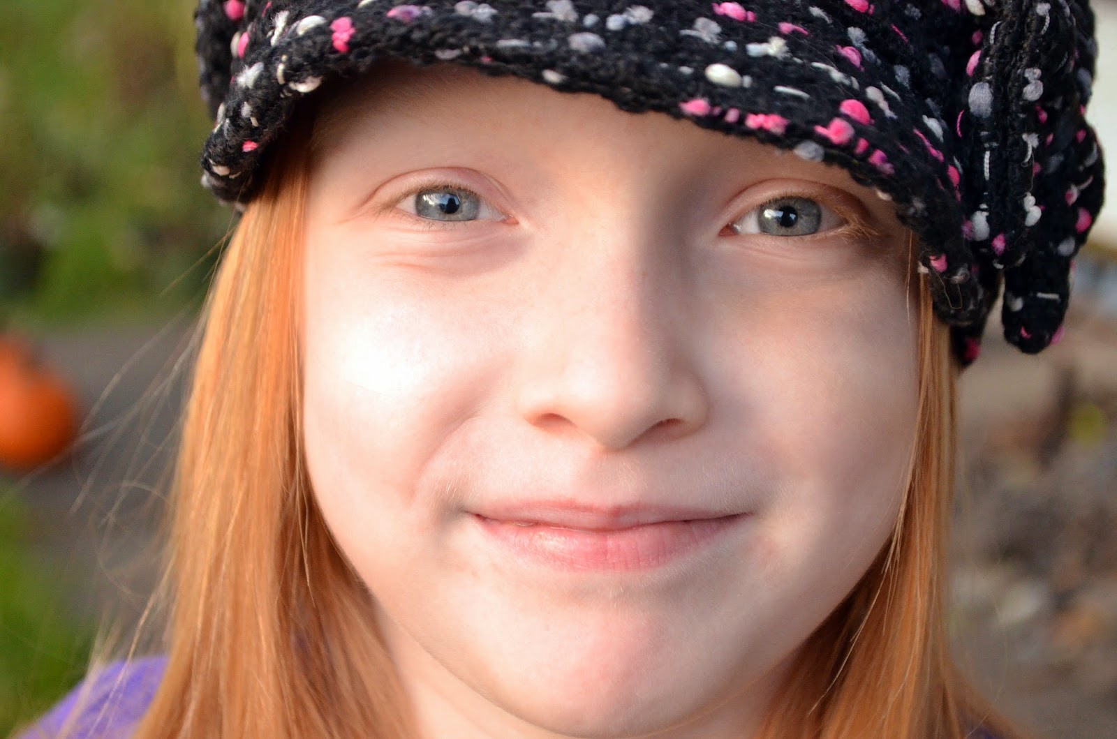 Pleasant Dreams Farm: November 2014