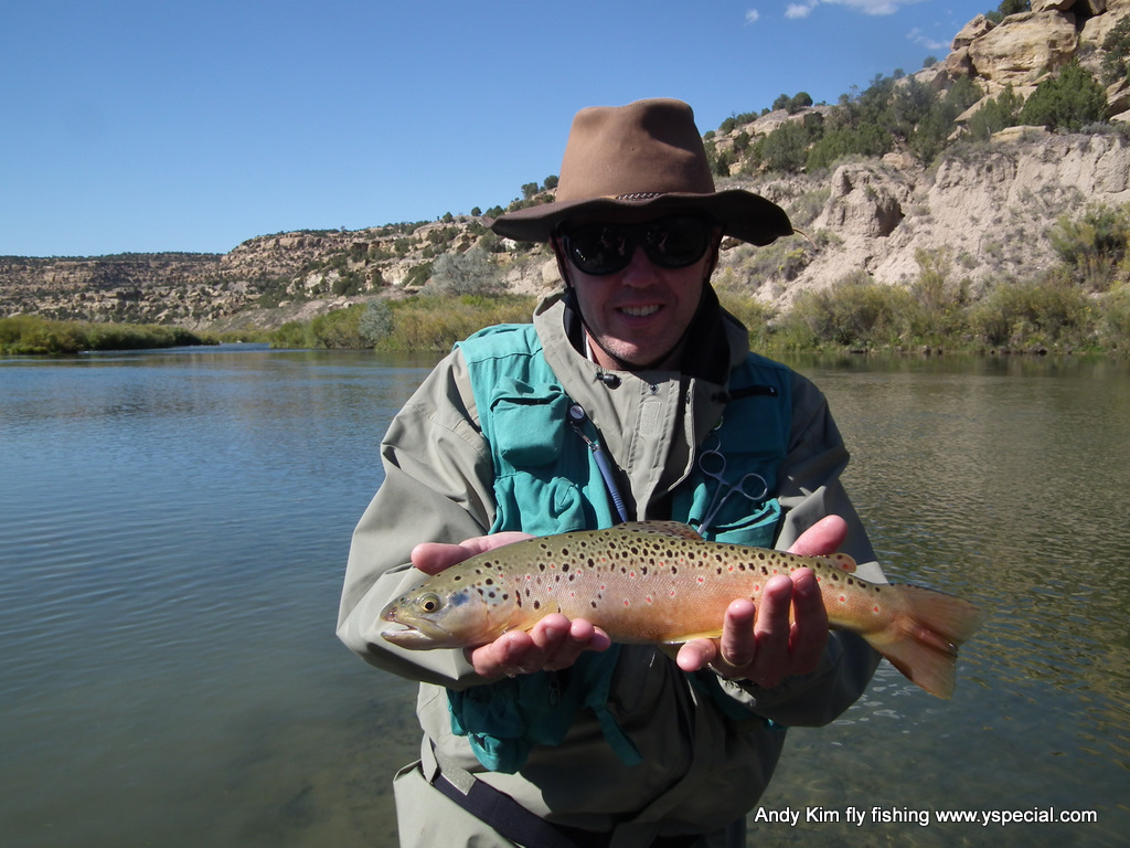 Be happy, life is too short!