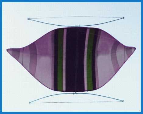 Layangan Pecukan - Semua tentang cara dan informasi umum