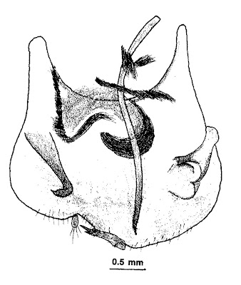 BunyipCo: September 2012