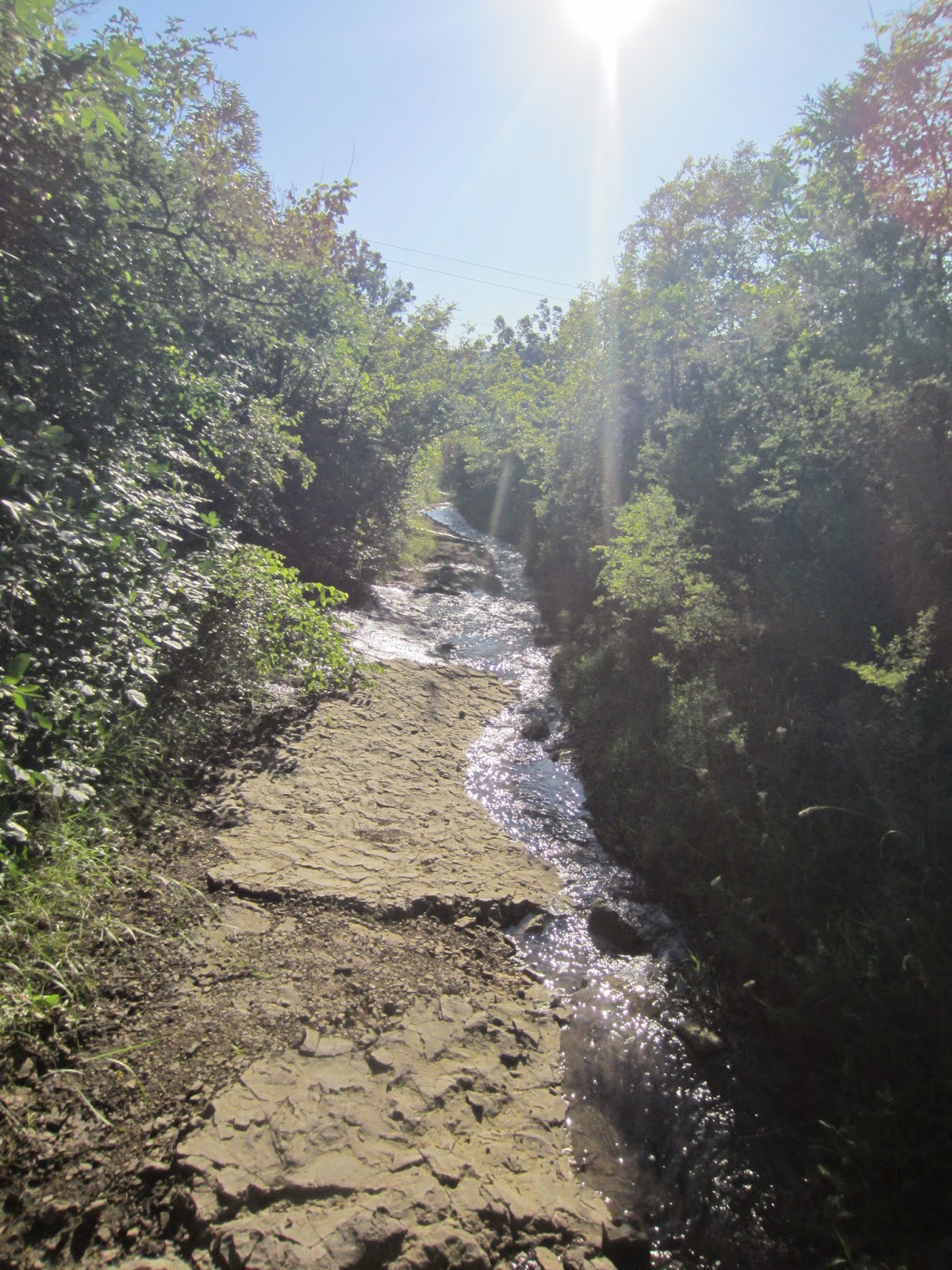 My Journey Westward: Hiking Mtatsminda, Part 2: Turtle Lake