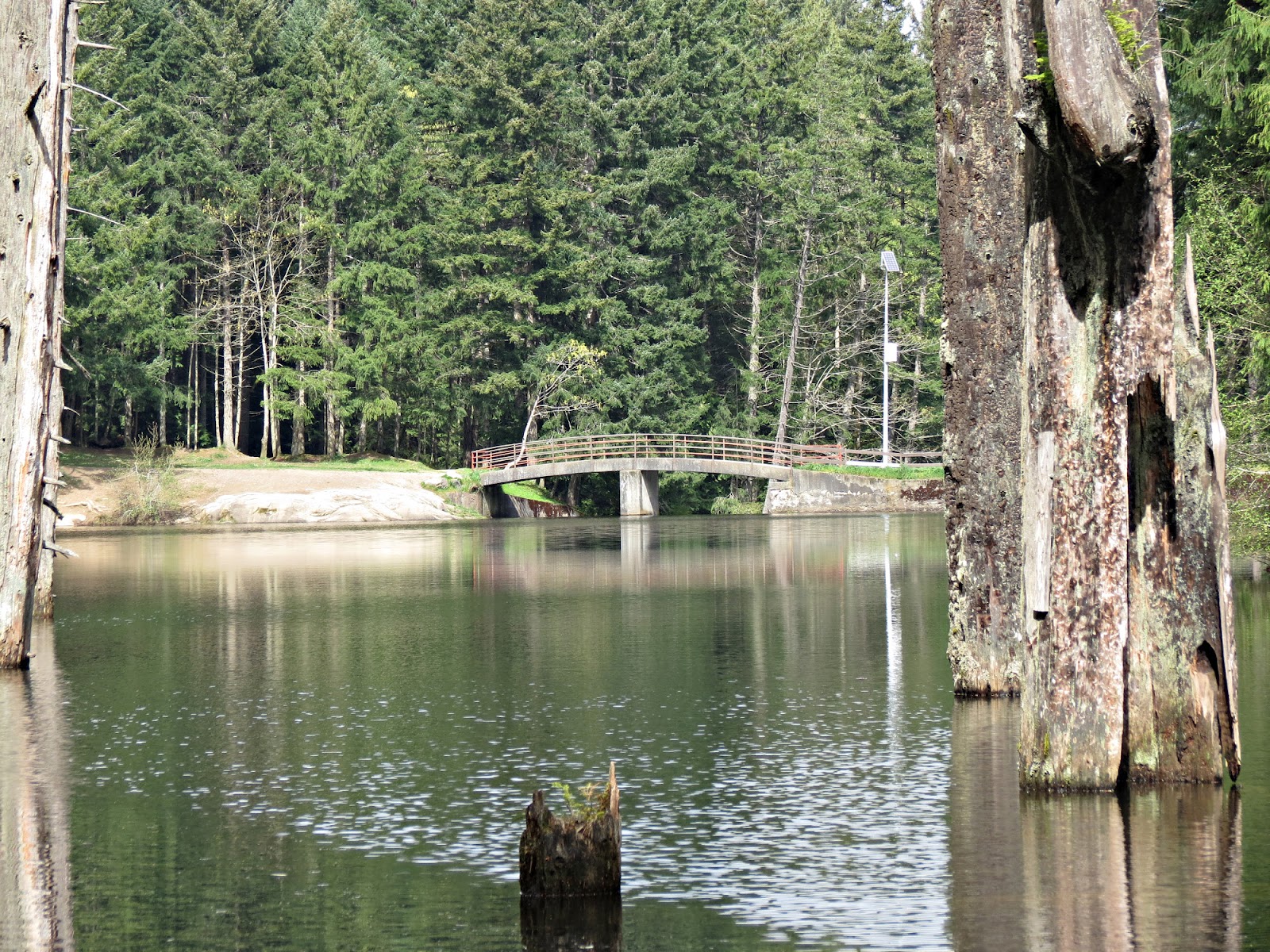 Everything Nanaimo: COLLIERY DAM PARK