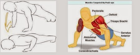 Manfaat Push Up Bagi Pria & Wanita Yang Perlu Diketahui | The Bliss Guild