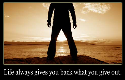 Stories of Life: Life is Echo