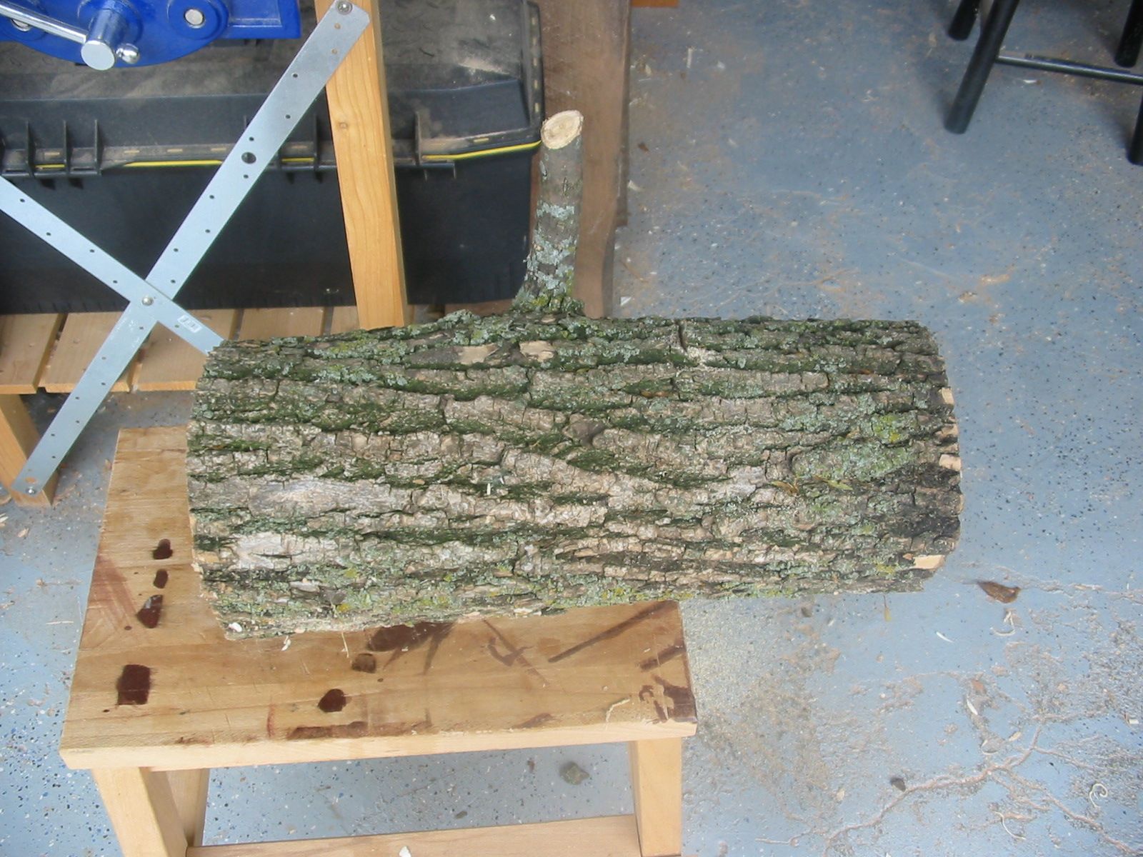 Selkie Wood Works: Tree Branch Bowls