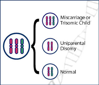 The BioBlogsters: 3) SEX CHROMOSOMES DISORDERS/ABNORMALITY