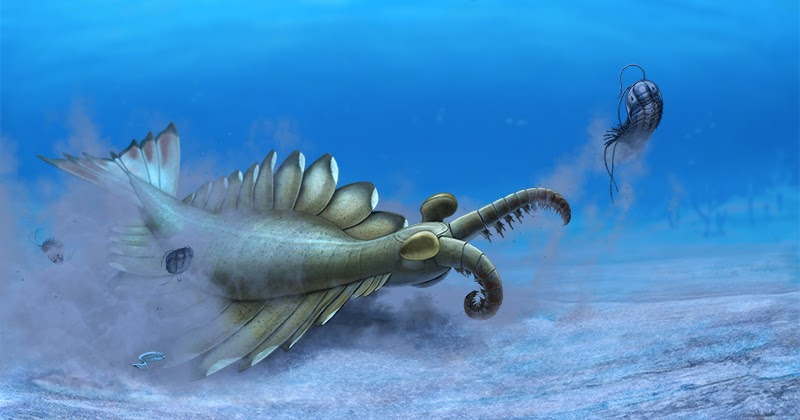 Extinct Animal of the Week: Shrimp in Action