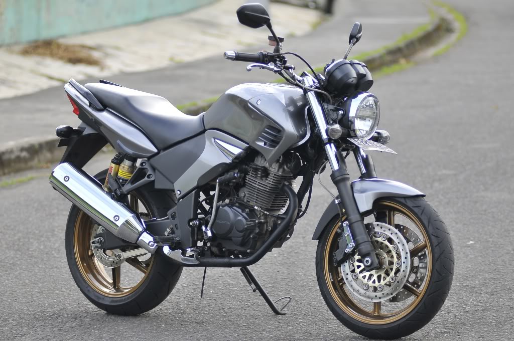 53 Foto Modifikasi Motor Tiger Revo Gaya Touring Terbaru