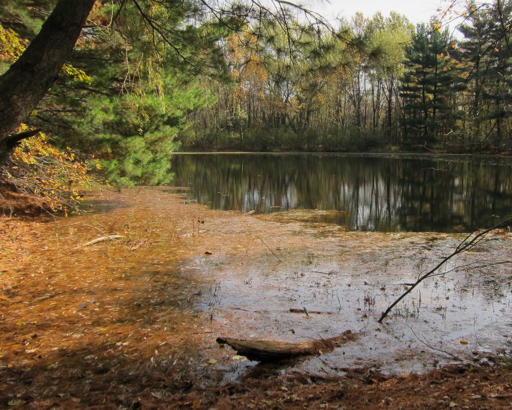 Seeing Anew: Sunday Hike at Silver Creek Metro Park