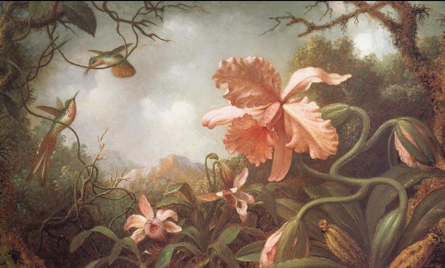 Martin Johnson Heade and the Hudson River School | Tutt'Art@ | Pittura ...