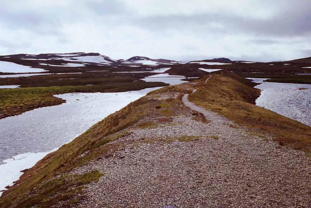 Bjarnes turblogg: Esker