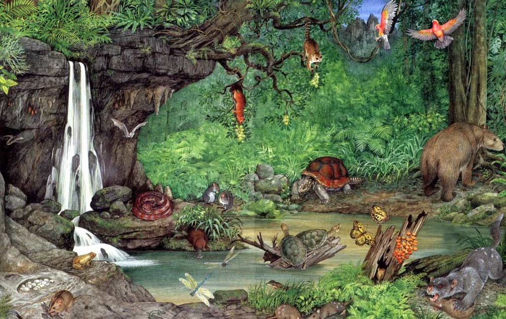 TIERRA DE DINOSAURIOS: Descubren dos fósiles de marsupiales con dientes ...