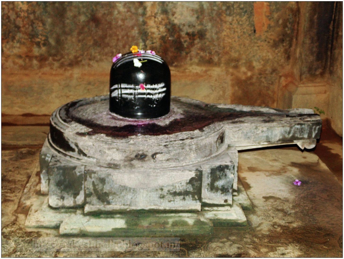 The Voice of Greenery - Trekking and Travelling in Western Ghats ...