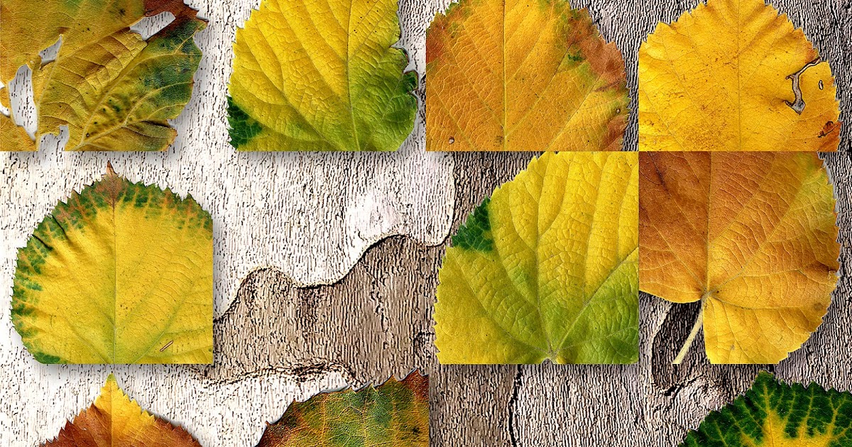 A propòsit del Full Verd: Sobre... Una hora