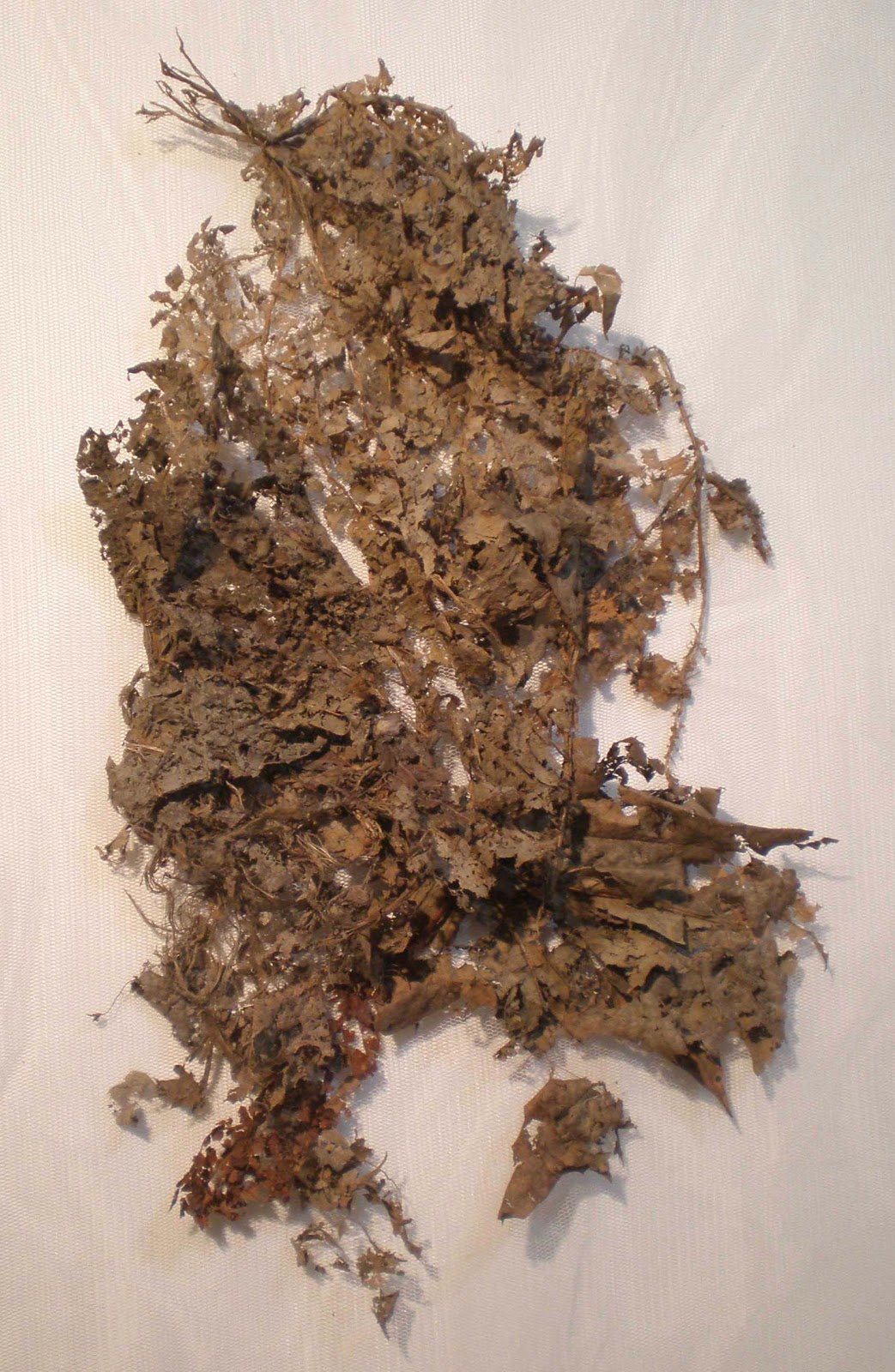 sociedad de diletantes: Broza