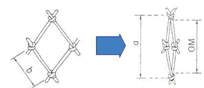 CARA MENGUKUR MATA JARING | Teknologi Penangkapan Ikan 49