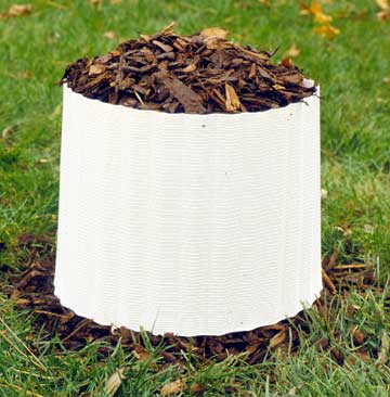 Ichabod, The Glory Has Departed: Clerical Collars for Roses - Or ...