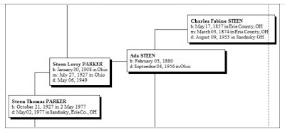 Graveyard Rabbit of Sandusky Bay: Aunt Alpha hosted the Steen Family ...