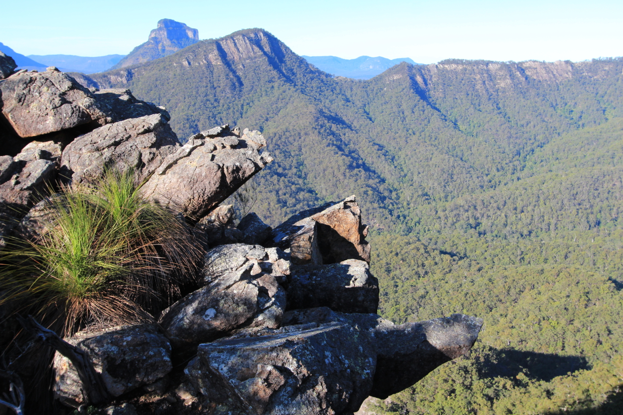 awildland: Waiting for Barney - Mt Barney National Park, Qld