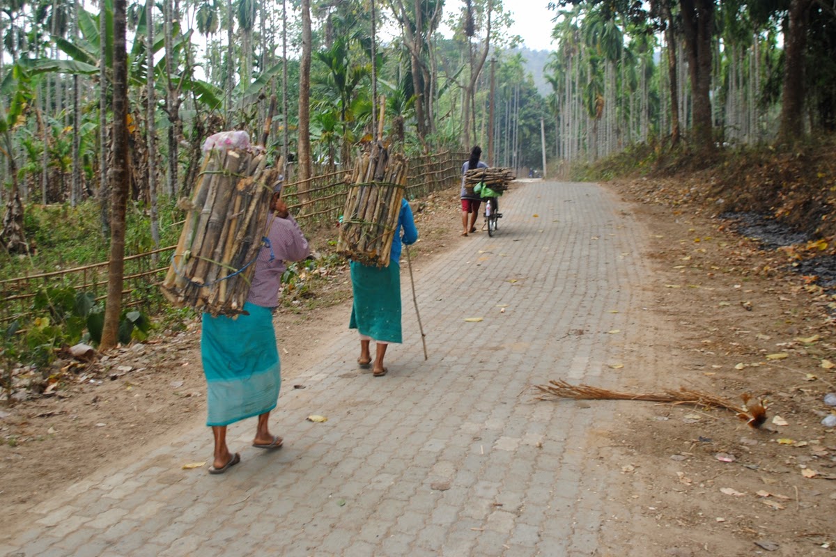 THE GARO TRIBE WOMEN ARE CARRYING FIREWOOD FROM FOREST AT GANAPATI ...