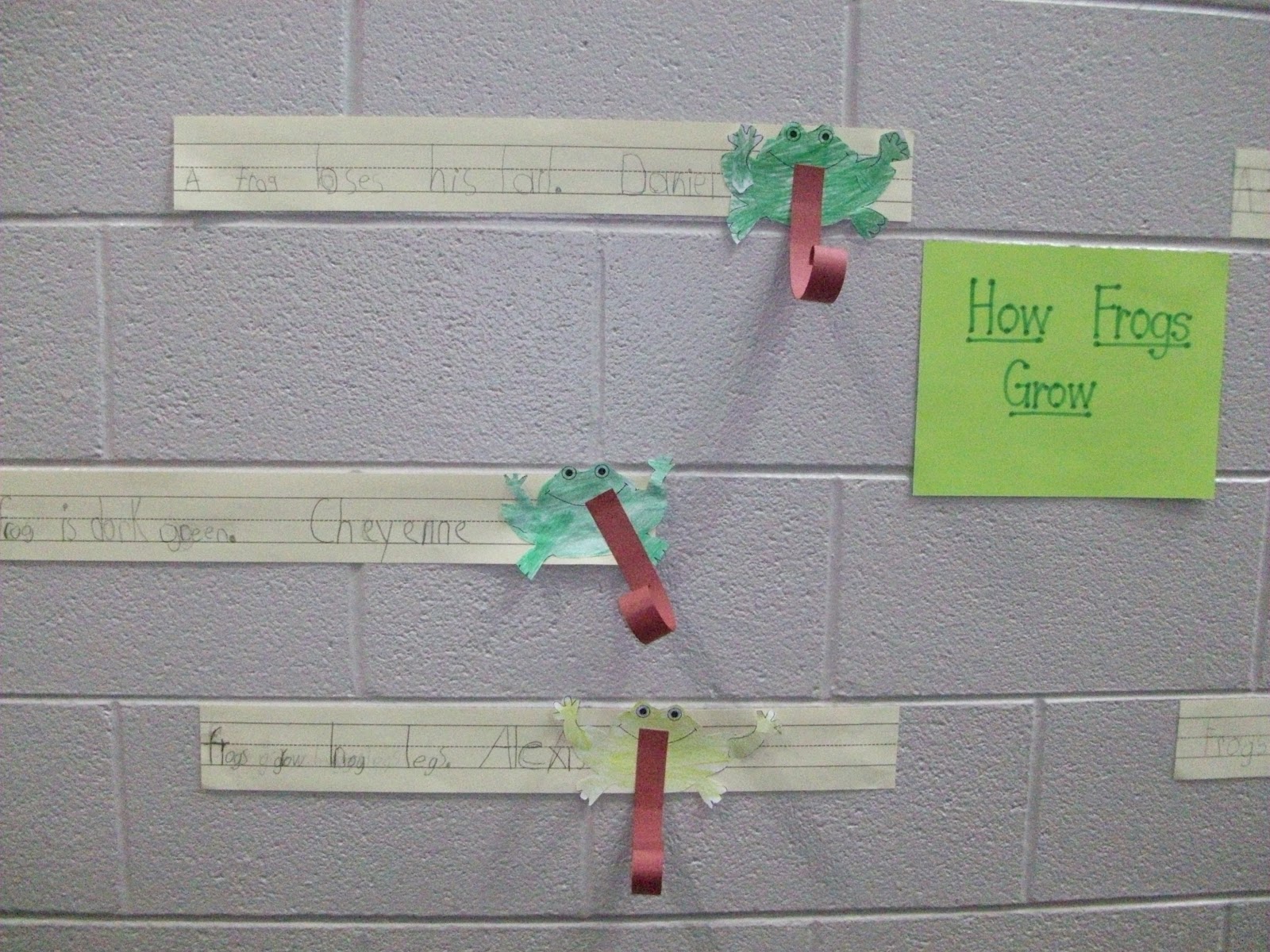 Mrs. Hankinson's Class: Frogs!