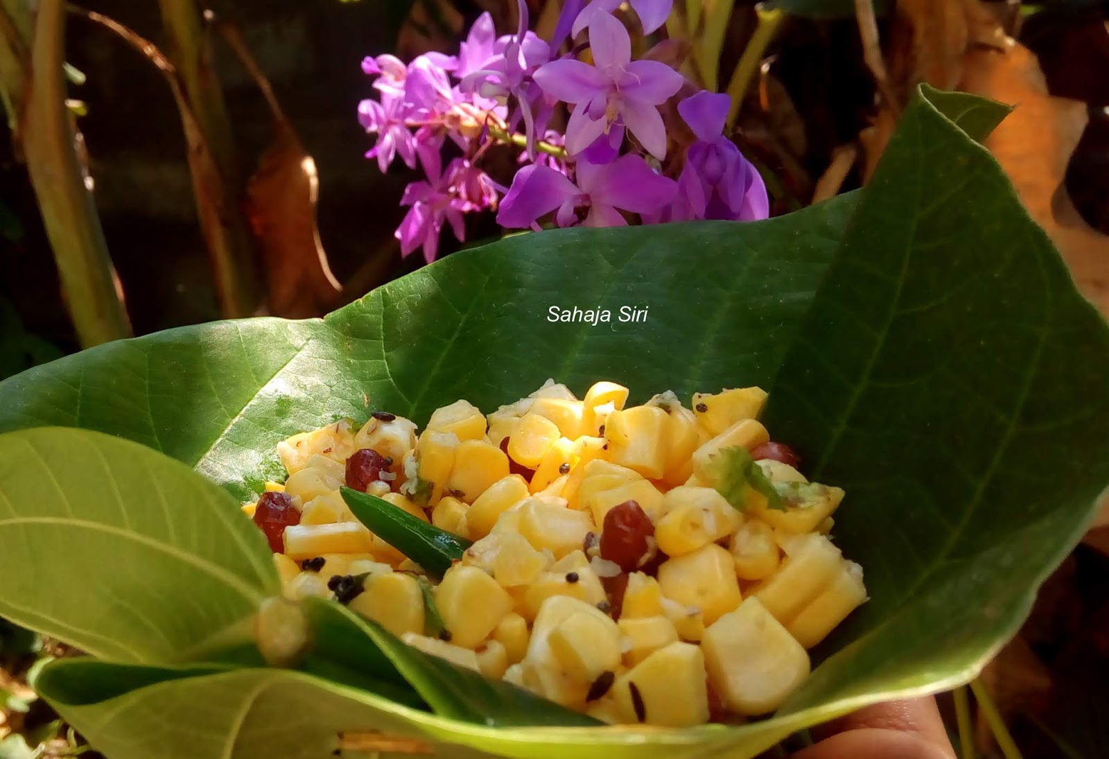 Simple Sweet corn Salad