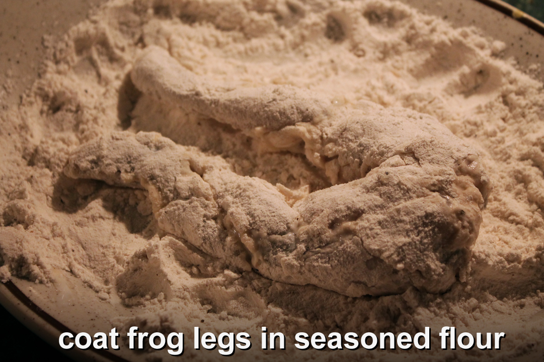 The 99 Cent Chef: Deep Fried Frog Legs with the Swamp Chef