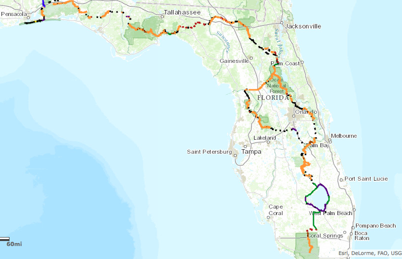 The Roadrunner Chronicles: Stephen Foster at the State Park