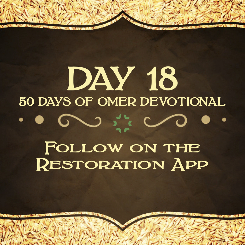 The Happy Rabbi: Omer Devotional Day 18