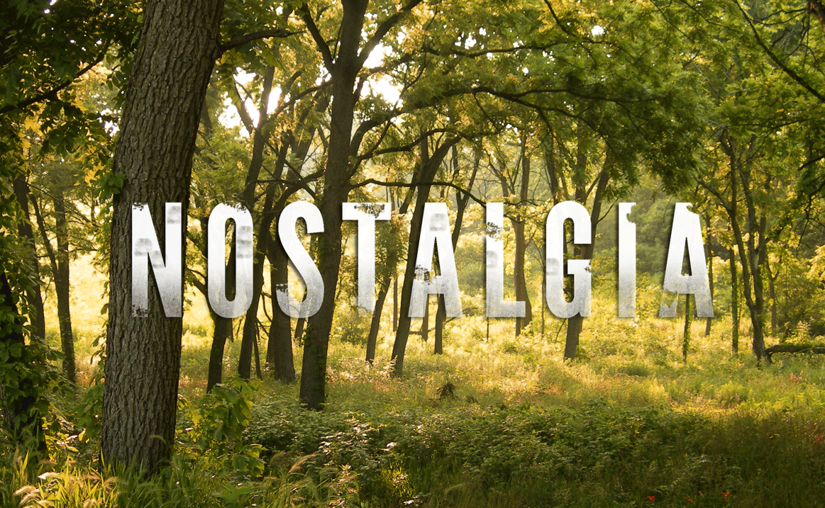 grounded design by Thomas Rainer: Garden Designer's Roundtable: Memory ...