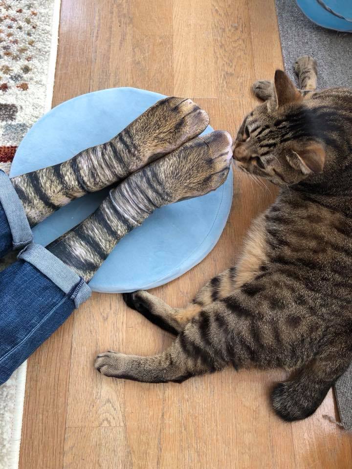 Cat Paw Socks